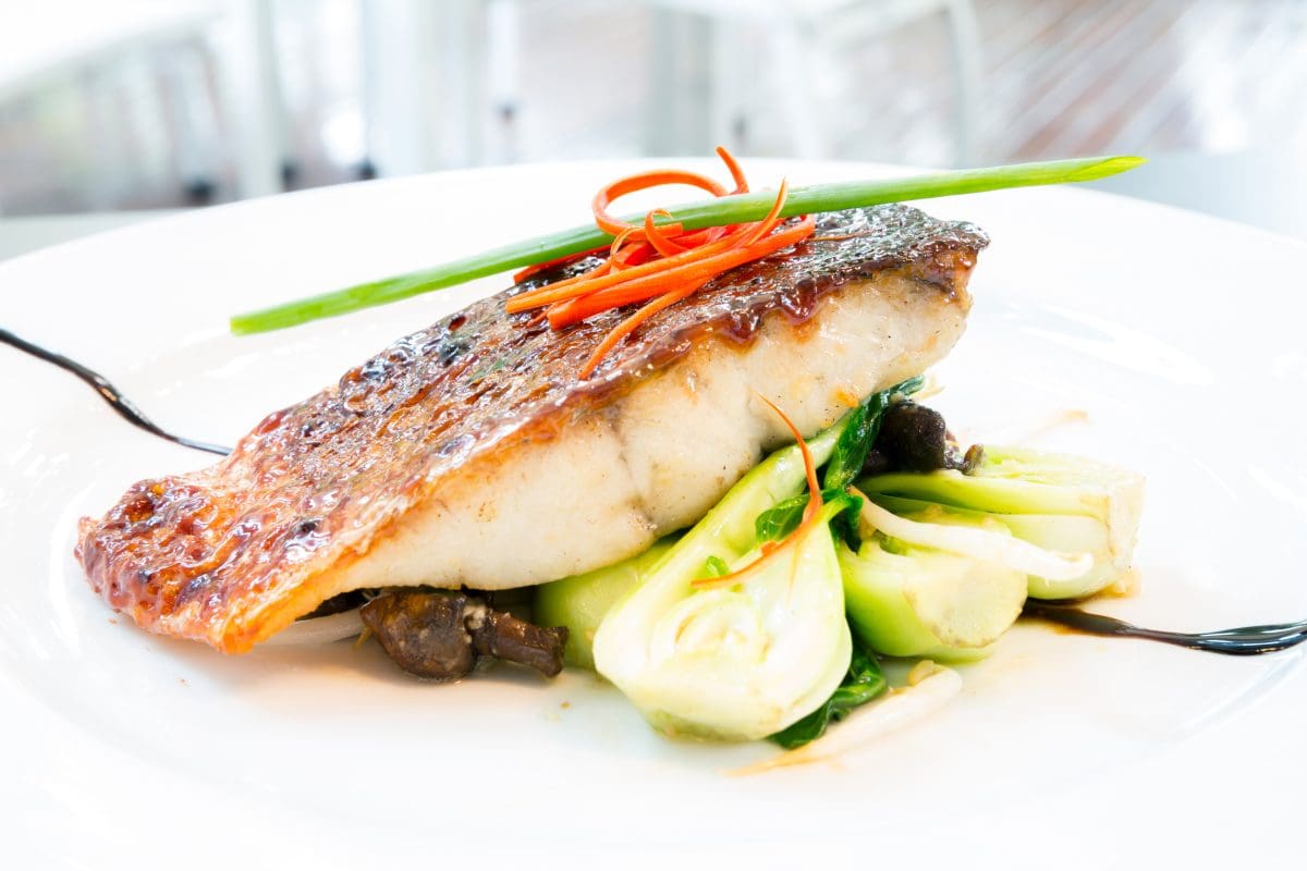 How to Cook Barramundi Fish: A Simple Guide for Perfect Results ...