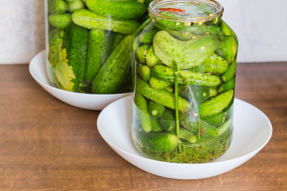 Half Sour Pickles: The Ultimate Guide to Crisp, Tangy Flavours ...