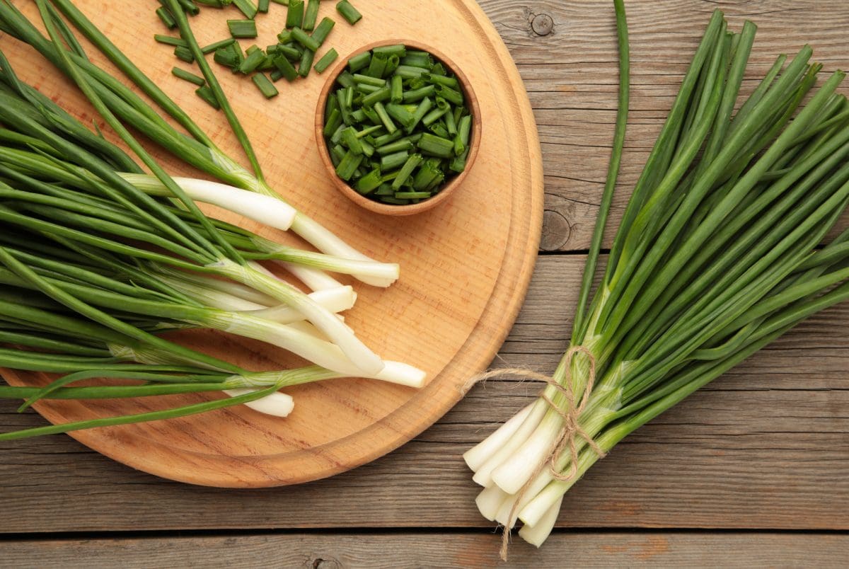 The Difference Between Green Onions, Scallions, and Spring Onions: An ...