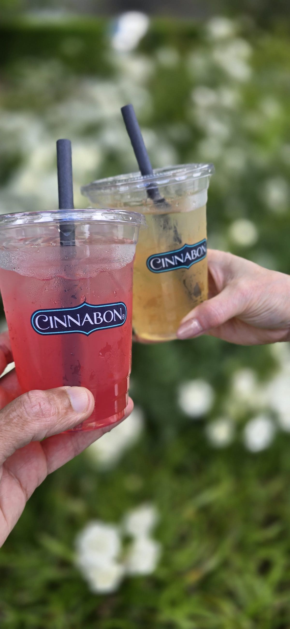 CINNABON® ADDS TWO NEW LIMITED EDITION SUMMER DRINKS | FeastMagazine